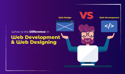 What is the Difference in Web Development and Web Designing?