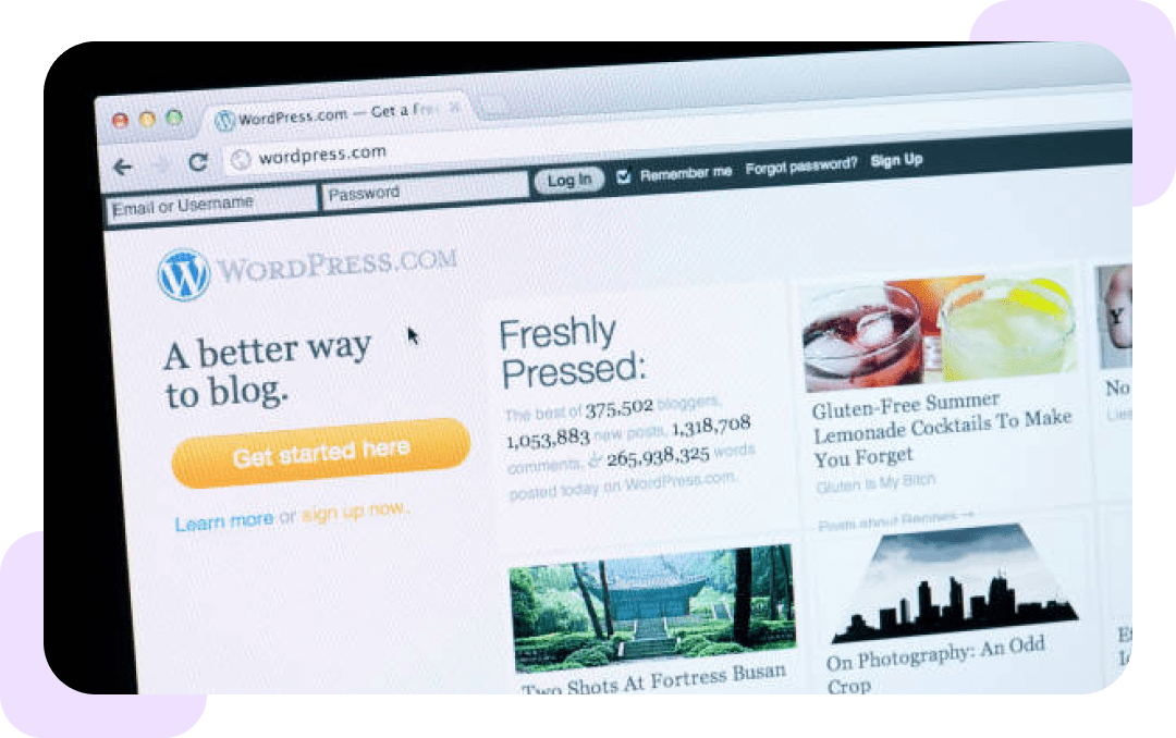 Web Design And Development - SolutionSurface | SaaS Development, Mobile ...